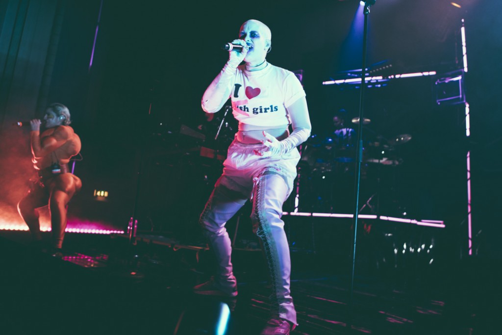 Fever Ray have cancelled all planned shows this year