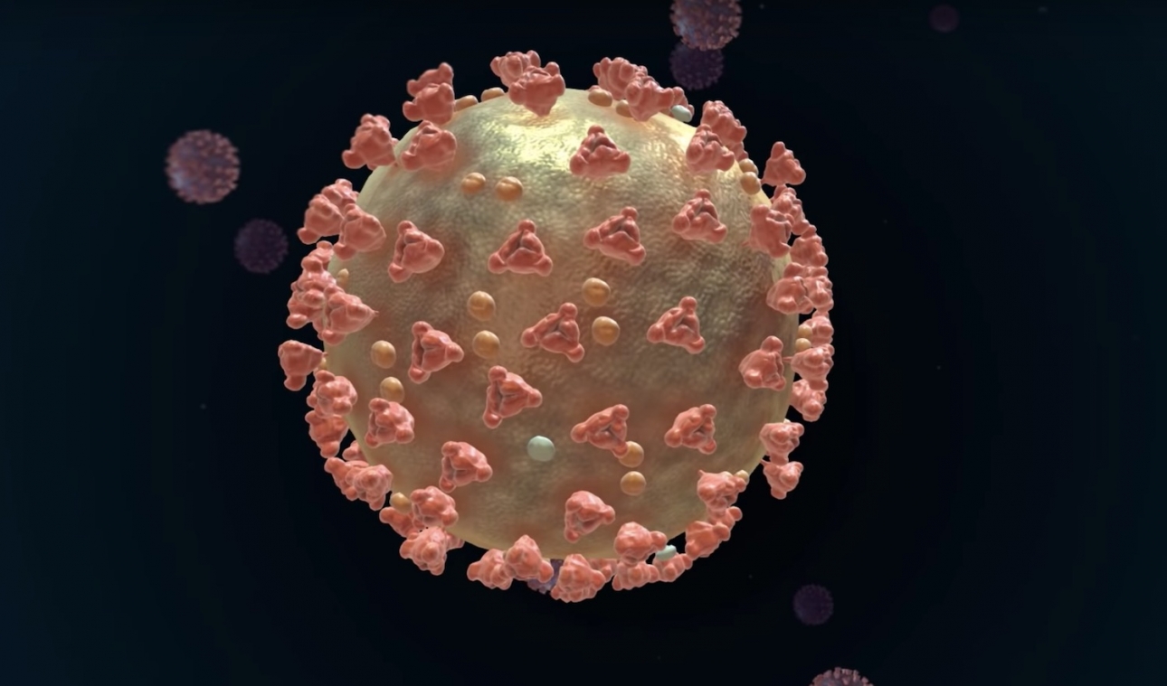 Scientists have turned the coronavirus structure into a song that’s ...