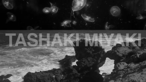 Watch: Tashaki Miyaki - Somethin’ Better Than Nothin’