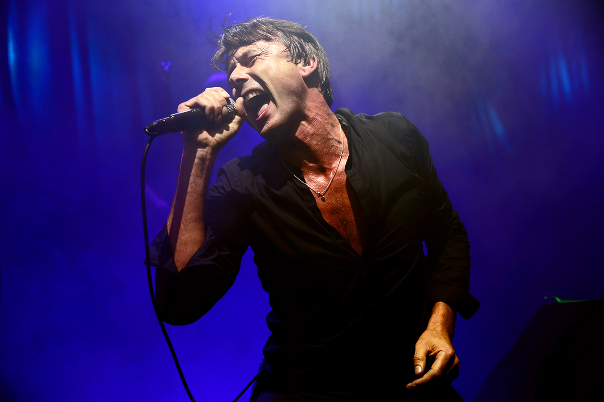 Suede’s seventh album, Night Thoughts is released this week.
