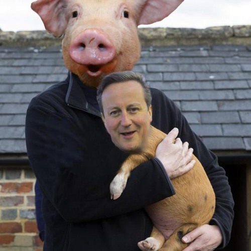 Listen to “Pig Mouth Strikes Again”, a David Cameron-themed Smiths parody
