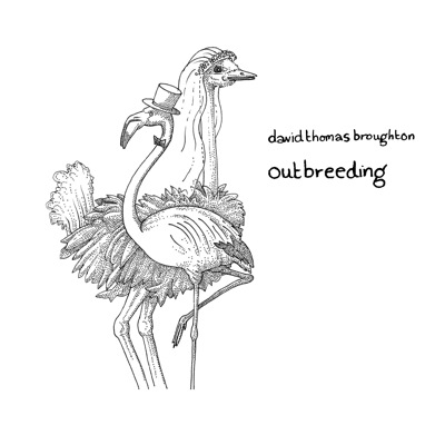 David Thomas Broughton – Outbreeding | The Line of Best Fit