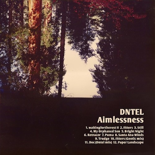 Dntel – Aimlessness | The Line of Best Fit
